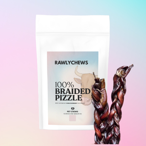 Braided Pizzle Dog Treats | Natural Long Chews | Rawly Chews